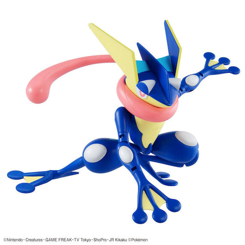BANDAI Hobby Pokemon Model Kit GRENINJA(4573102621382)|P-Rex Hobby