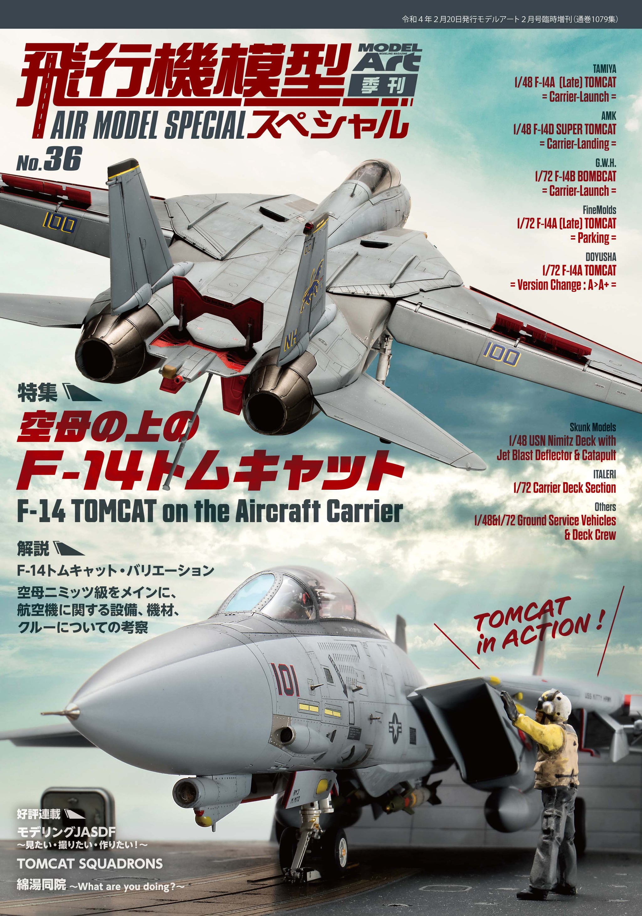 Model Art Air Model Special No. 36 F-14 Tomcat on the Aircraft Carrier ...